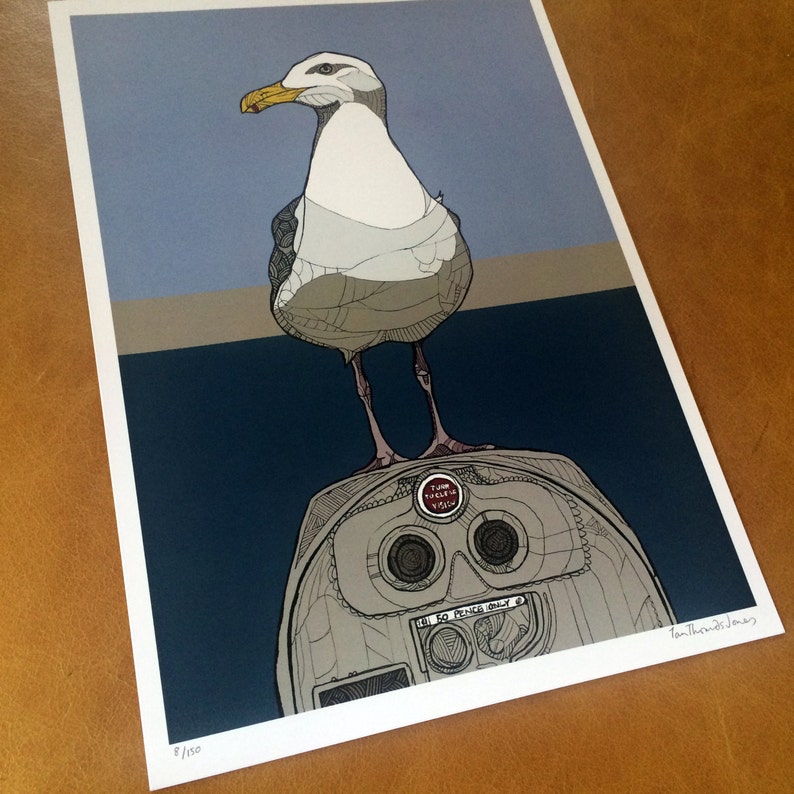 Seaside Seagull - A4 Print (signed and Numbered) - Etsy