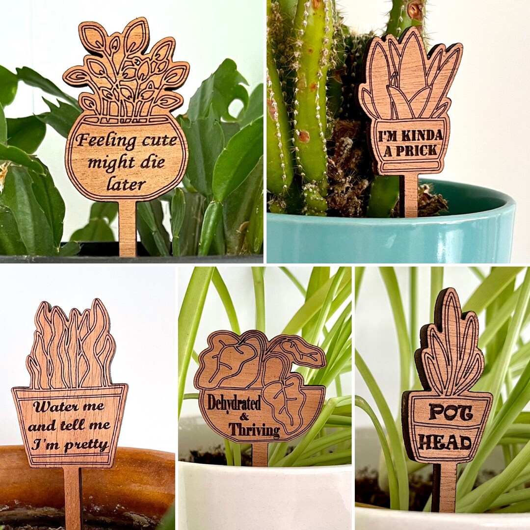 Five 5 Plant Stakes Bundle, Funny Garden Plant Signs, Indoor Plant ...