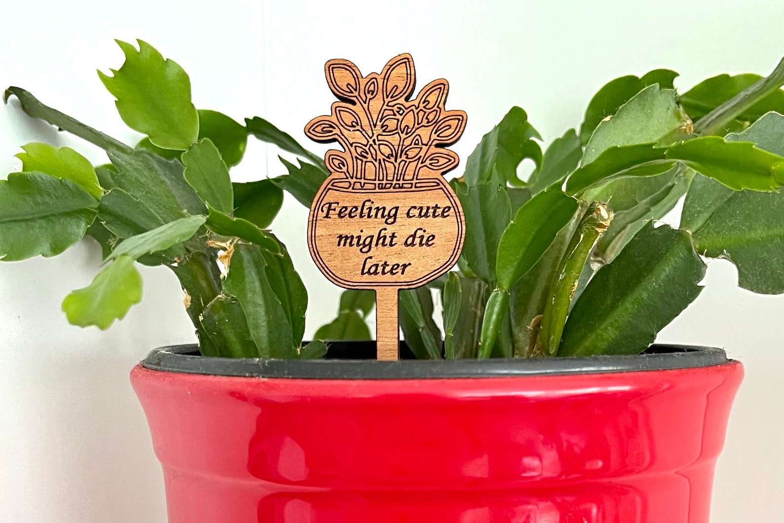 Five 5 Plant Stakes Bundle, Funny Garden Plant Signs, Indoor Plant ...