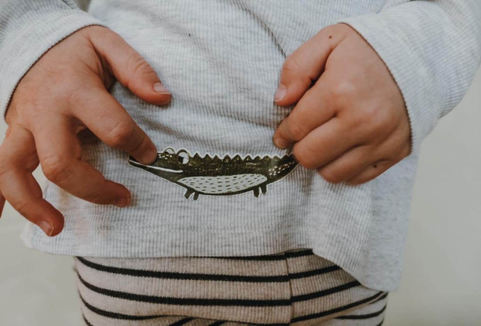 Bügelbilder Elefant Krokodil Ameisenbär Yay Zebra - Etsy.de