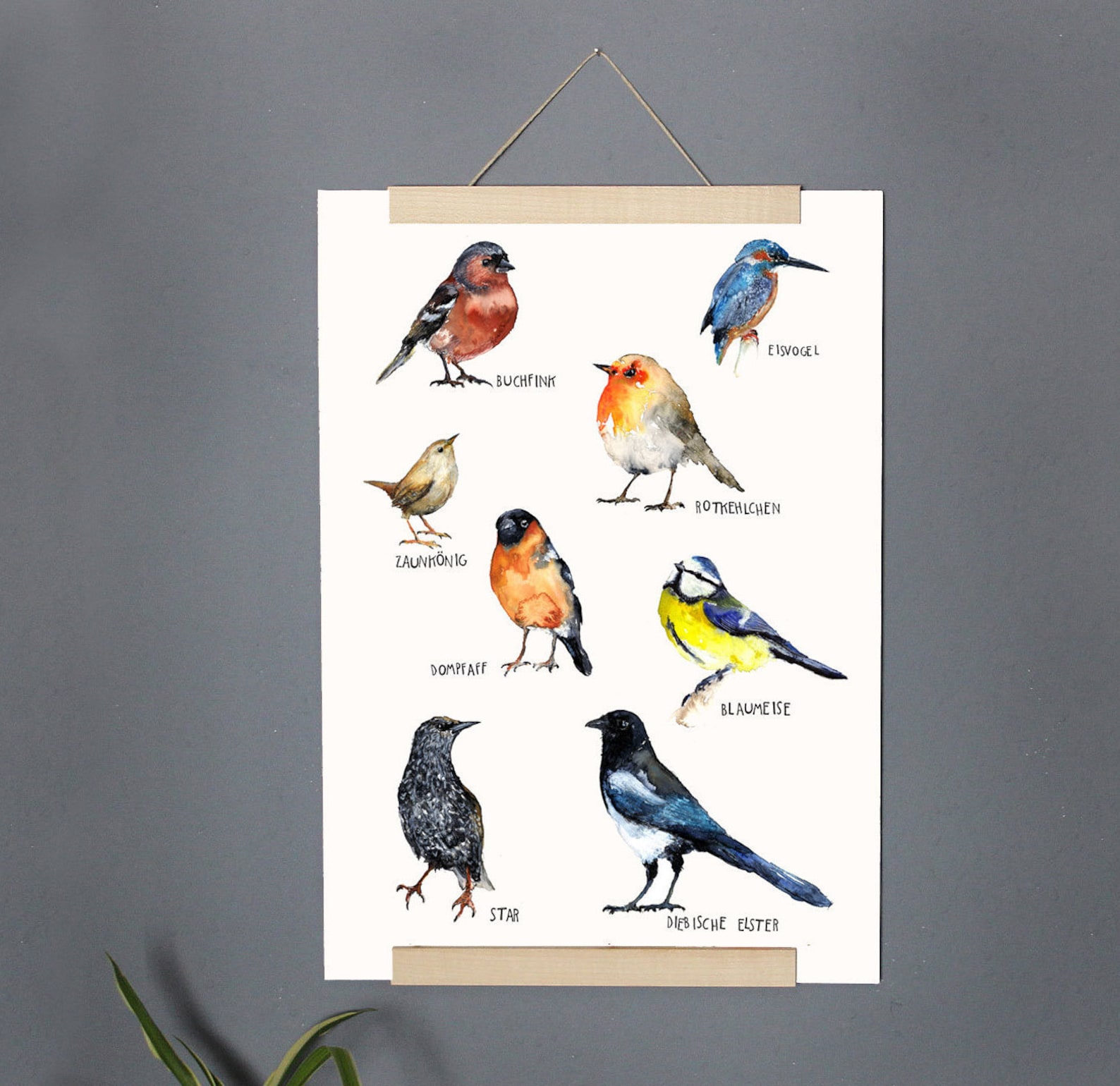 Bird Species Poster Learning Poster Art Print Watercolor | Etsy