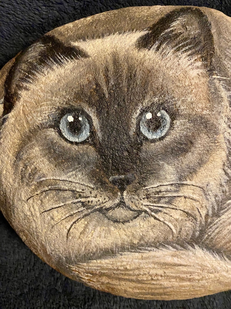 Nestling Cat Painted on A Stone / Rock 9.5” 5.8kgs - Etsy