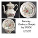 Romney gadroon Shape by SPODE Dinnerware Pieces Dinner Plates Cups ...