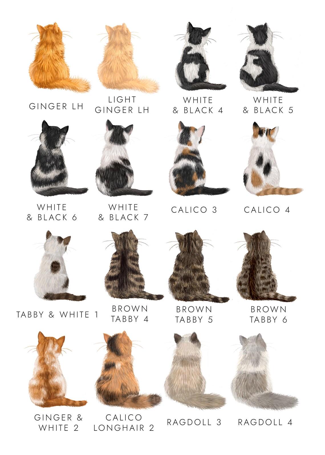 Personalised Cats Mr & Mr Wedding Card | Just Married Card ...