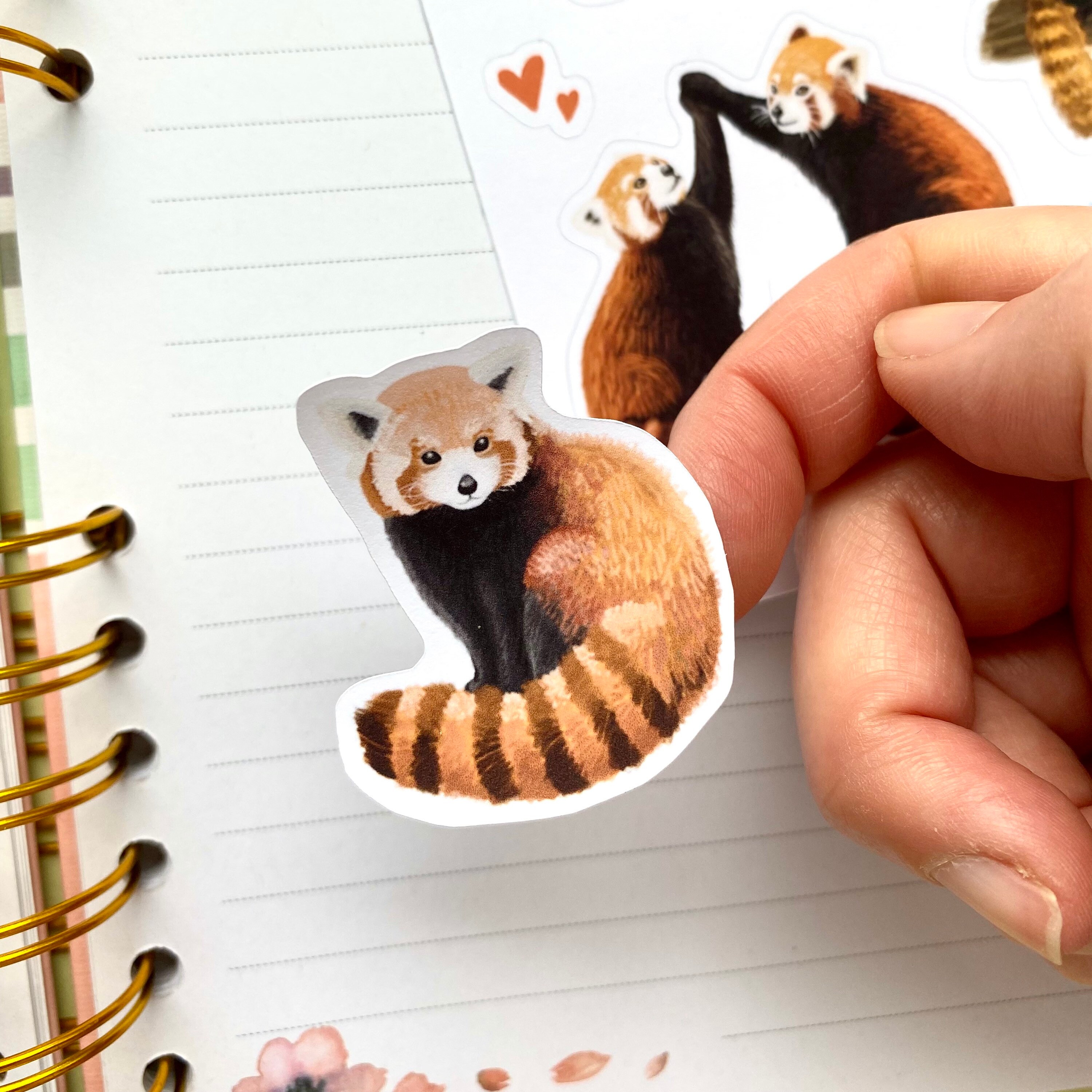 Red Panda Sticker Sheet Cute Kawaii Animal Stationery - Etsy