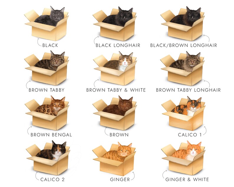 Personalised Choose the Cat in a Box Mother's Day Card | for Mom, Mam ...