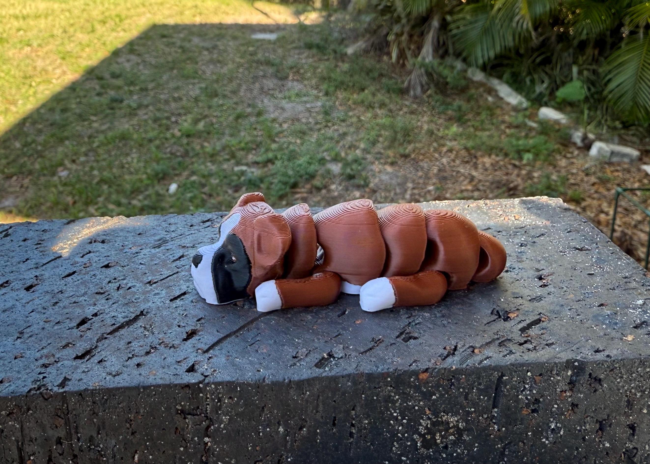 Boxer Flexi / 3D Print / Desk Pets / Desk Buddy / Fidget / Articulated ...