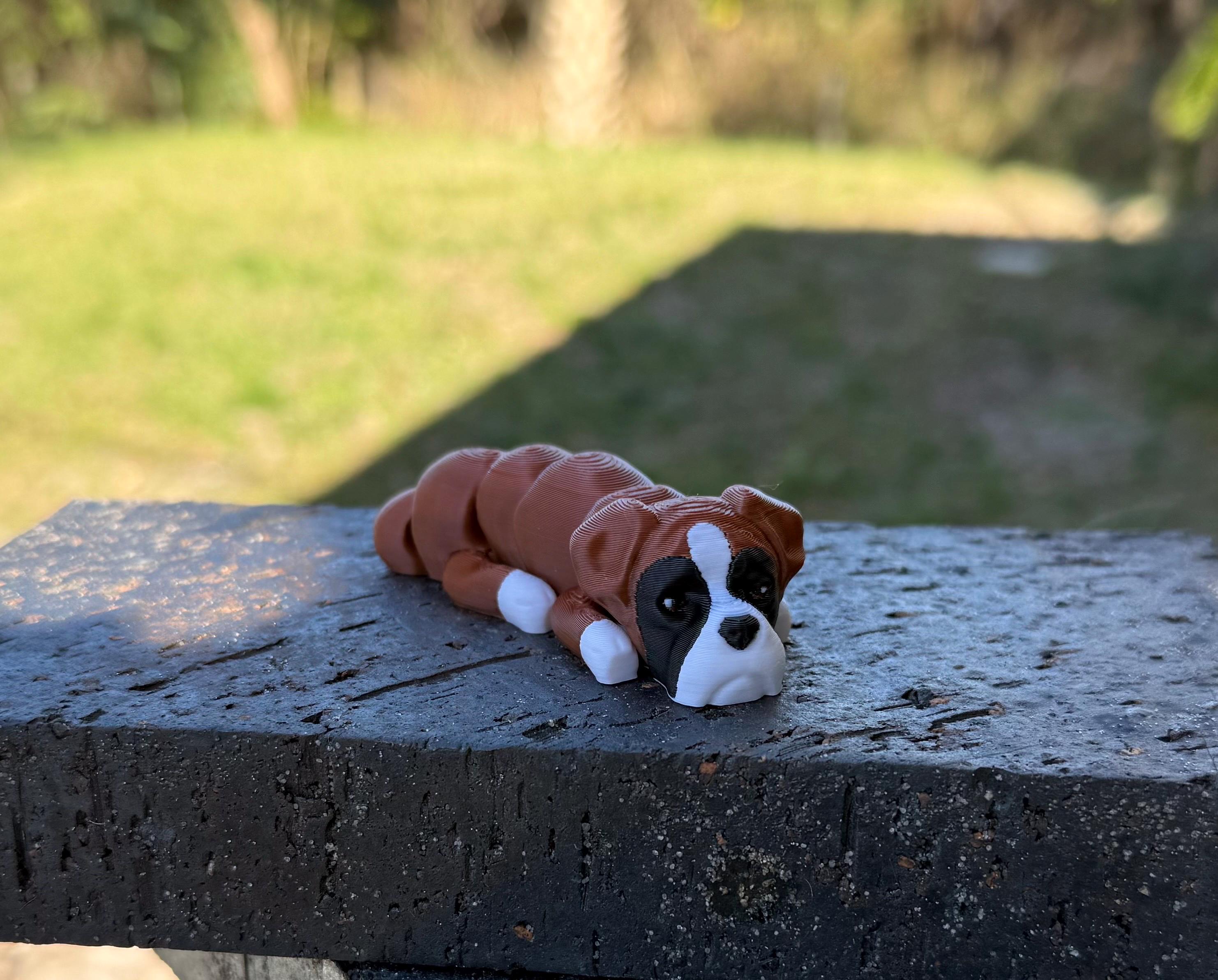 Boxer Flexi / 3D Print / Desk Pets / Desk Buddy / Fidget / Articulated ...