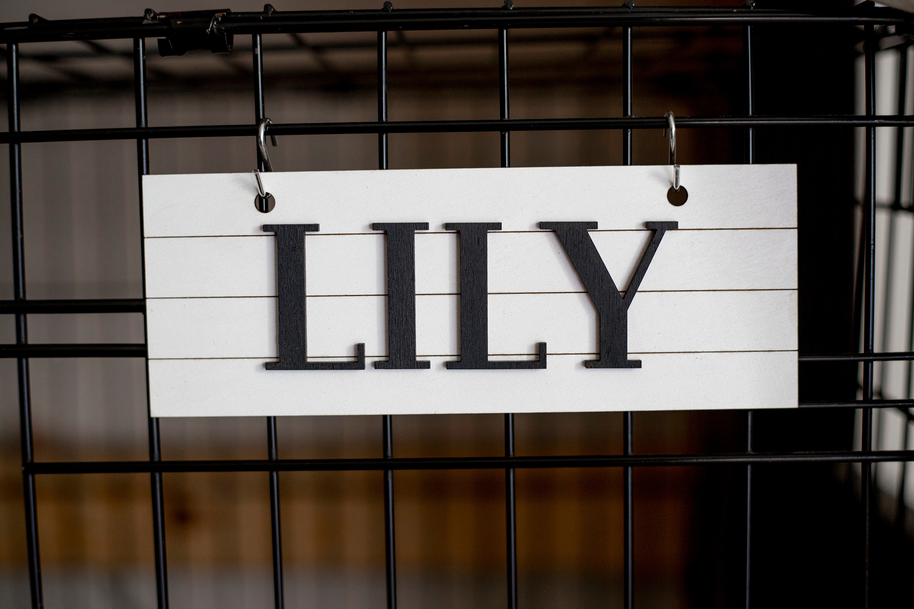 Personalized Pet Crate Sign Personalized Hanging Crate Tag - Etsy