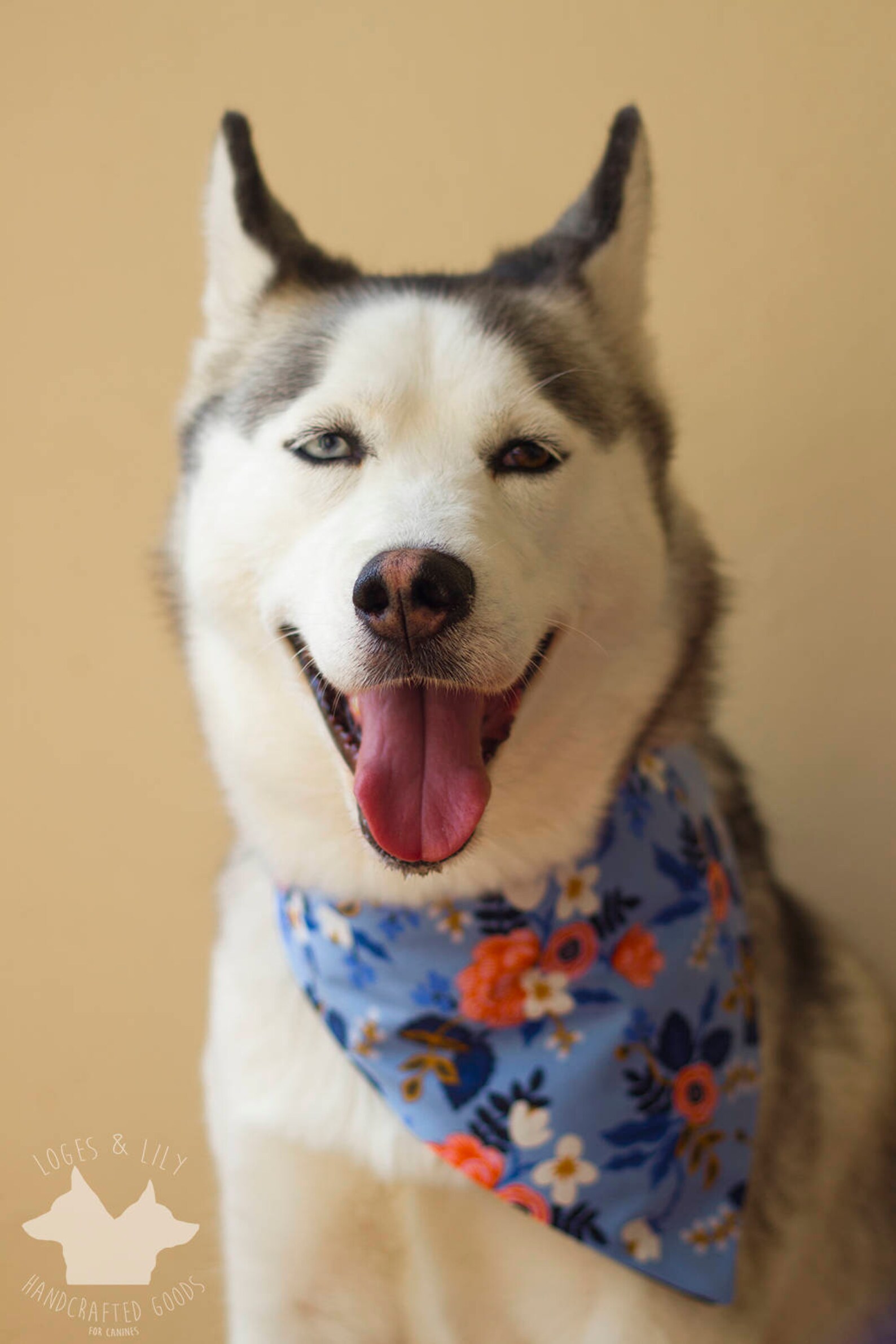 Periwinkle Floral Print Dog Bandana | Rifle Paper Co. Dog Bandana - Etsy
