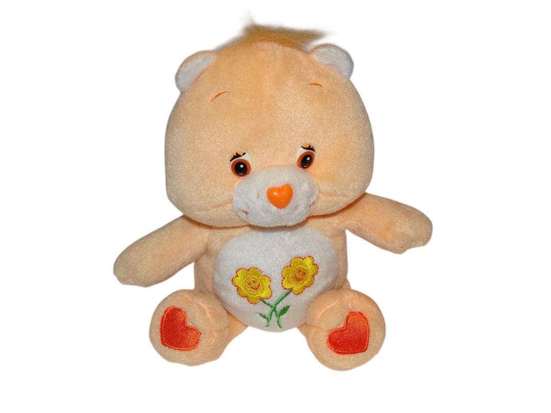 Vintage 2002 Care Bears Friendship Friend Bear Smiling Flowers Pastel ...