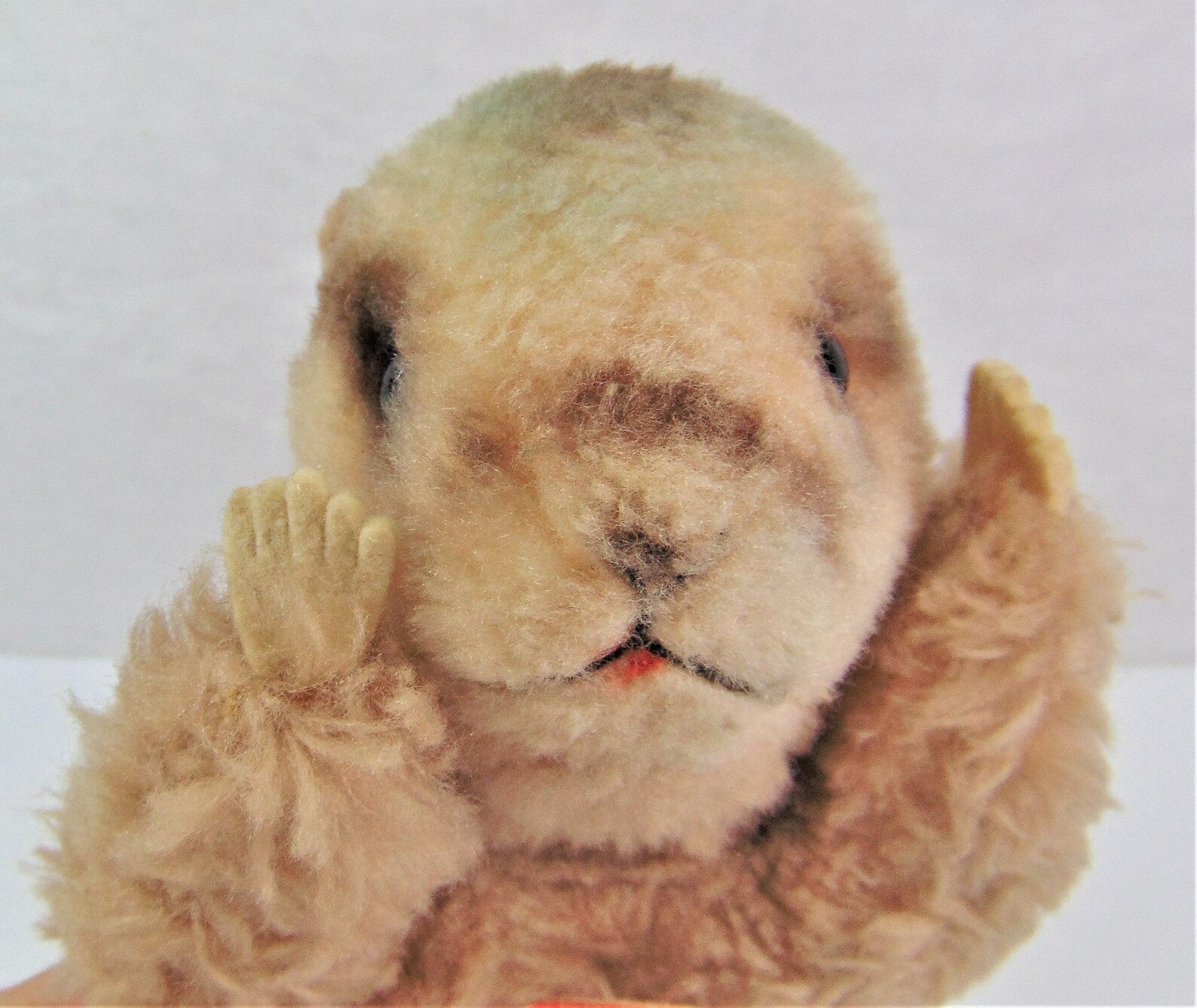 Rare Steiff Cosy Murmel Marmot Woodchuck Plush Toy Vintage | Etsy