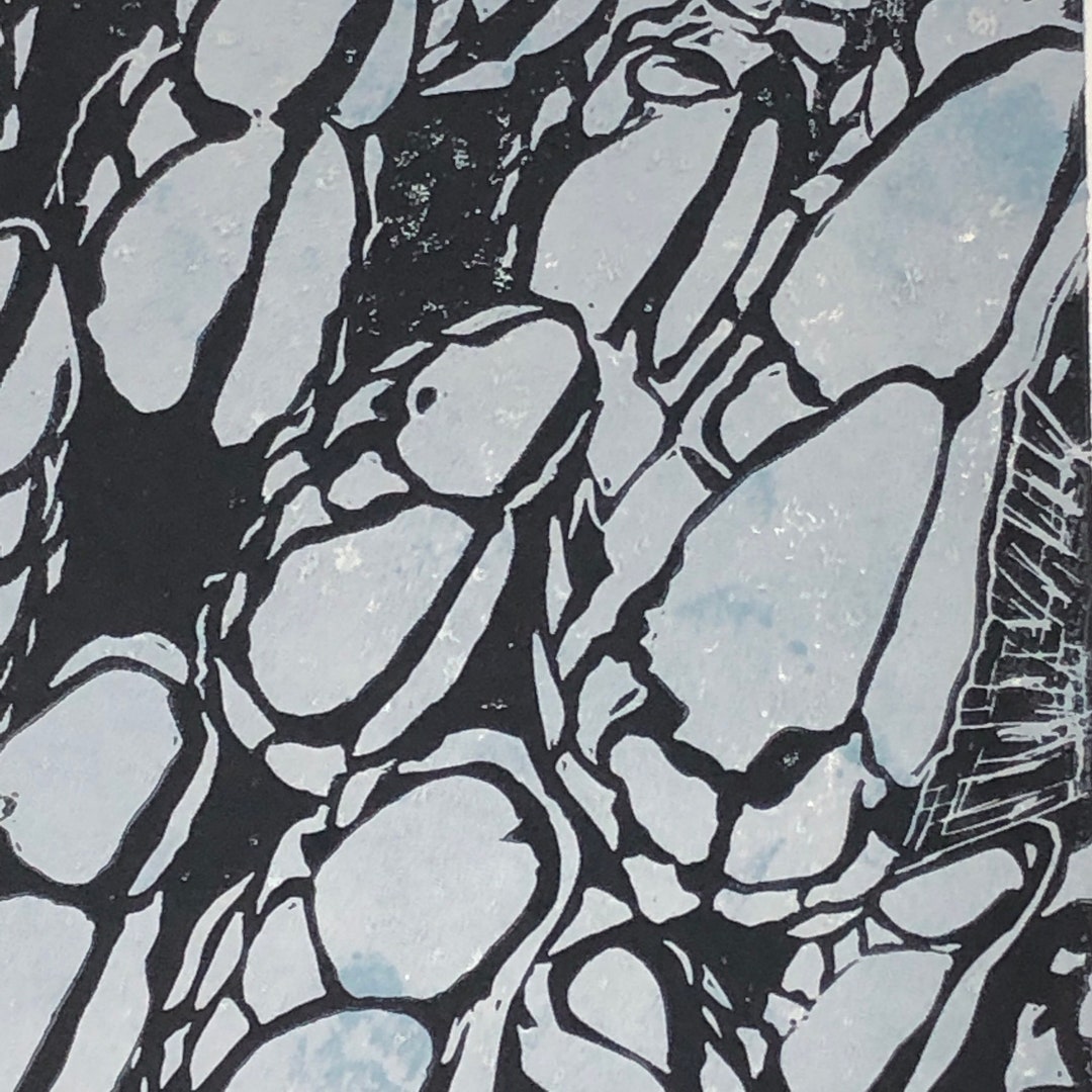 Gooseneck Barnacles,original Linocut Print, Artist’s Proof, Limited ...