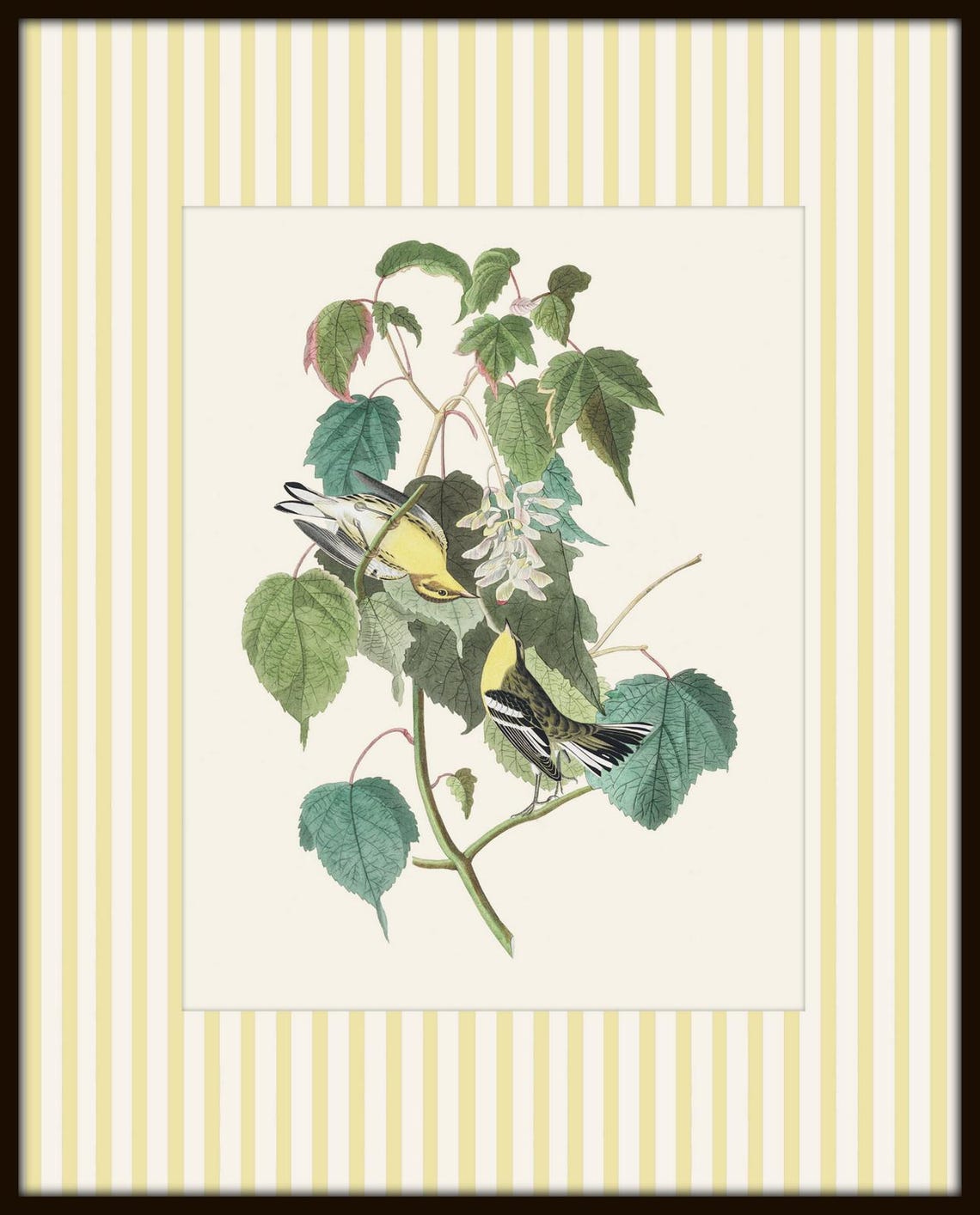Butter Yellow Striped Vintage Bird Print Set, Striped Border Art ...