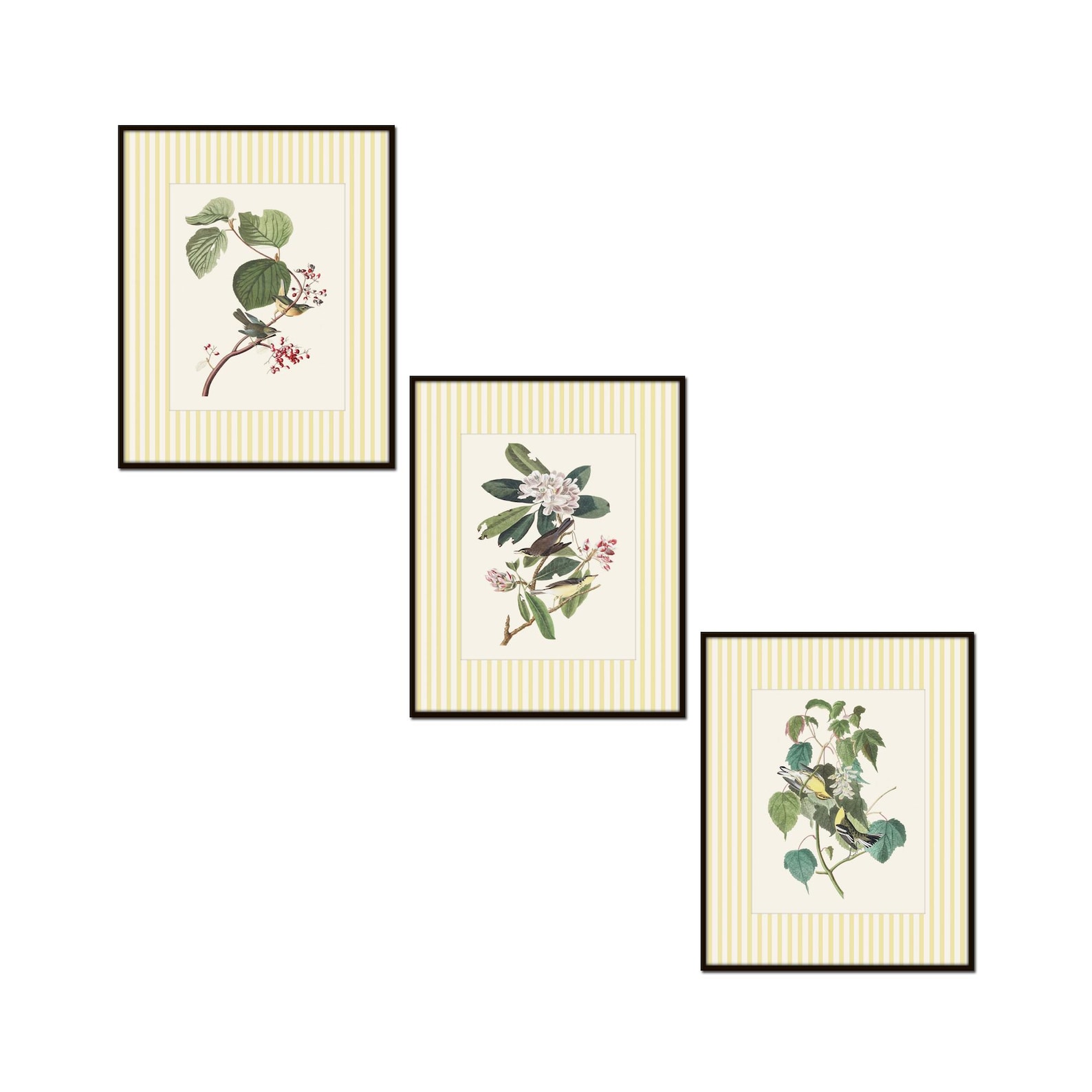 Butter Yellow Striped Vintage Bird Print Set, Striped Border Art ...