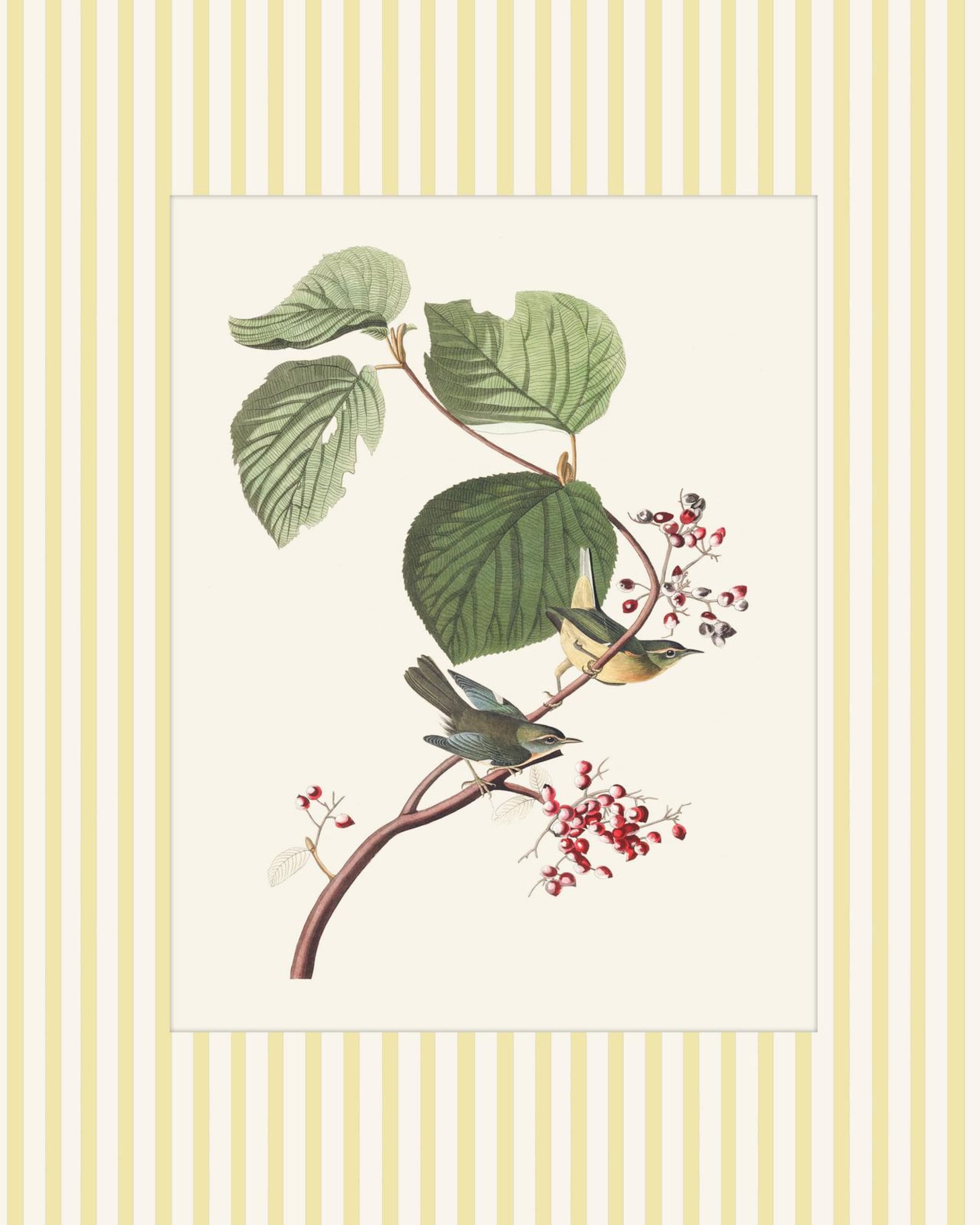 Butter Yellow Striped Vintage Bird Print Set, Striped Border Art ...