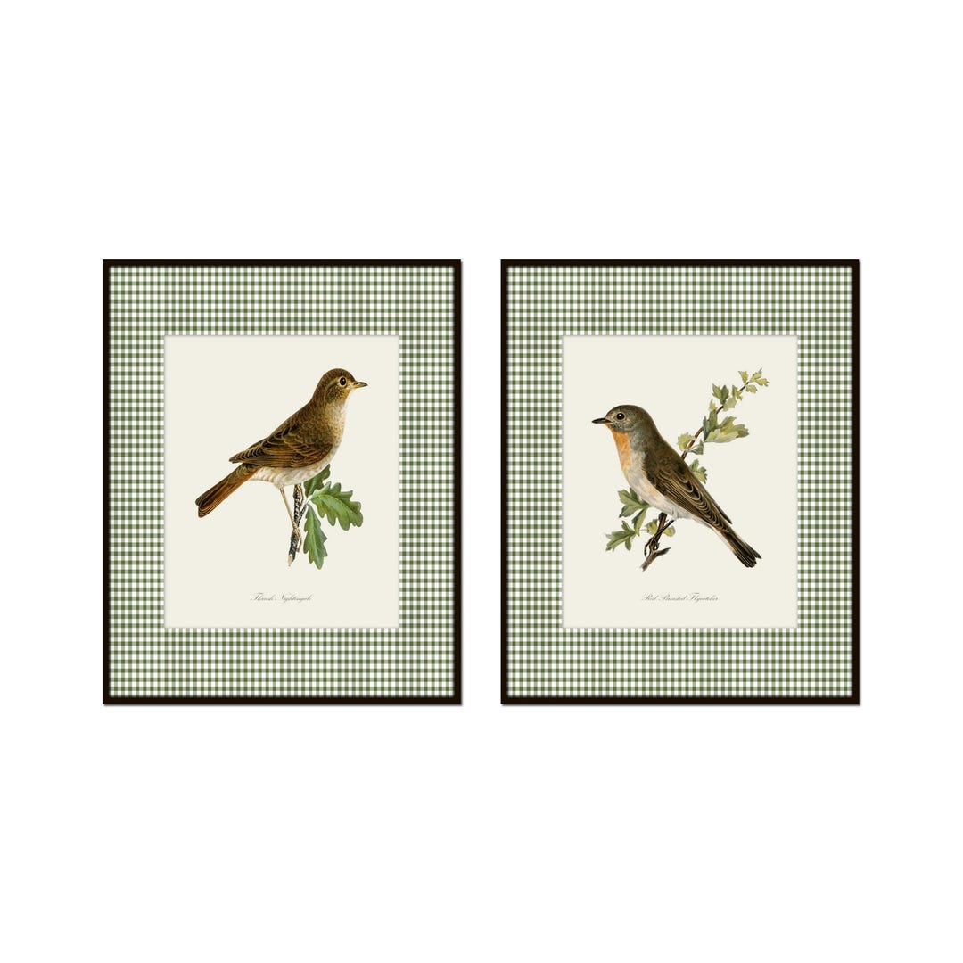 Vintage Bird Collage Set No. 2, Vintage Bird Art, Bird Prints, Vintage ...
