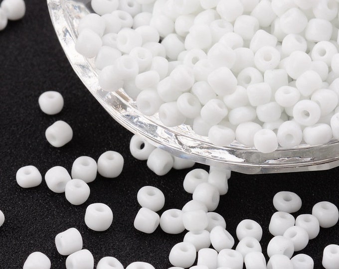 White Seed Beads 6/0 110 Grams - Etsy