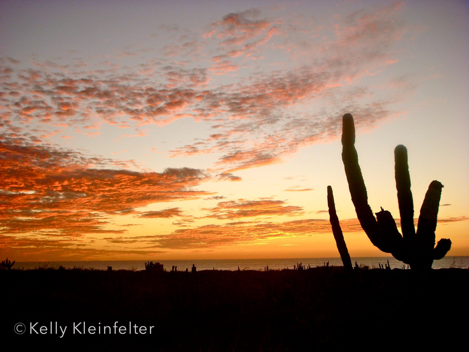 Desert Sunset // Cabo San Lucas, Mexico // Physical Print - Etsy