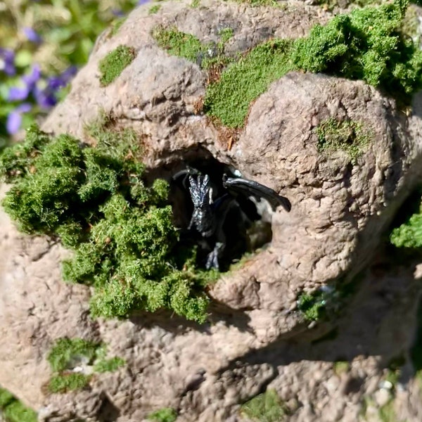 Hobbitcore Decor - Etsy