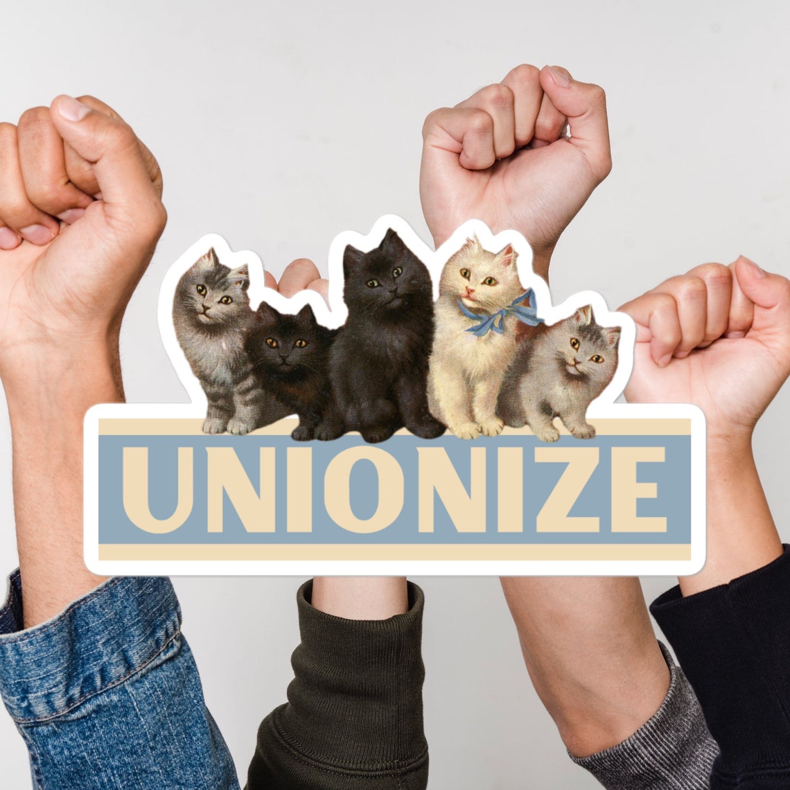 Unionize Stickers Kitten IWW Leftist Socialist Communist - Etsy