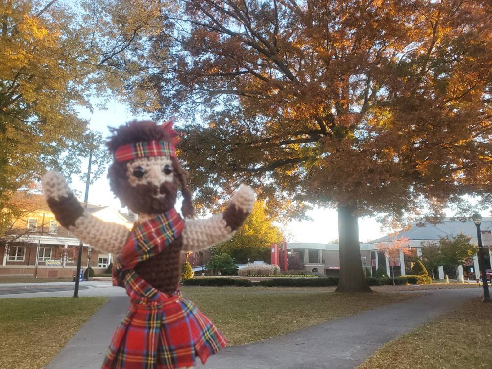 Radford Crochet Highlander - Etsy