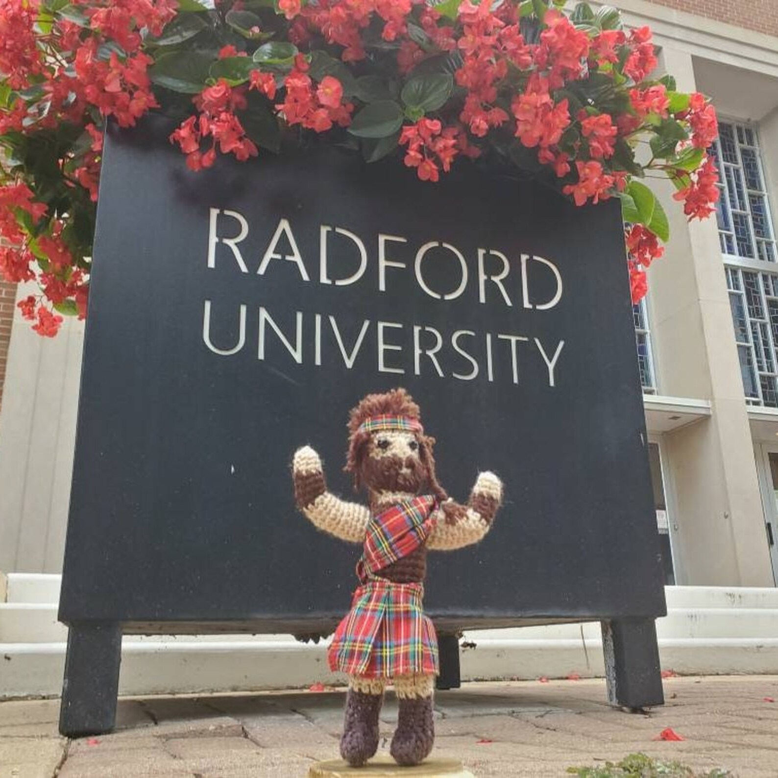 Radford Crochet Highlander - Etsy