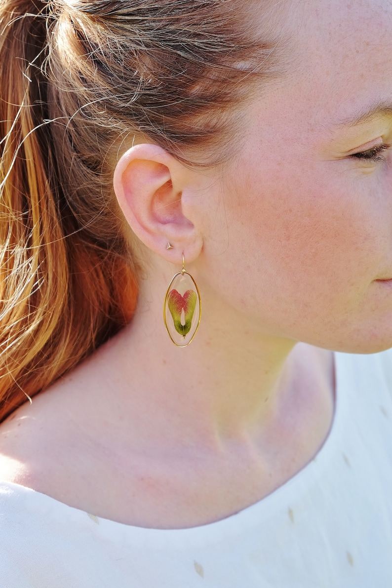 Winged Seeds Samaras Sycamore Maple Seeds Oval Shape - Etsy