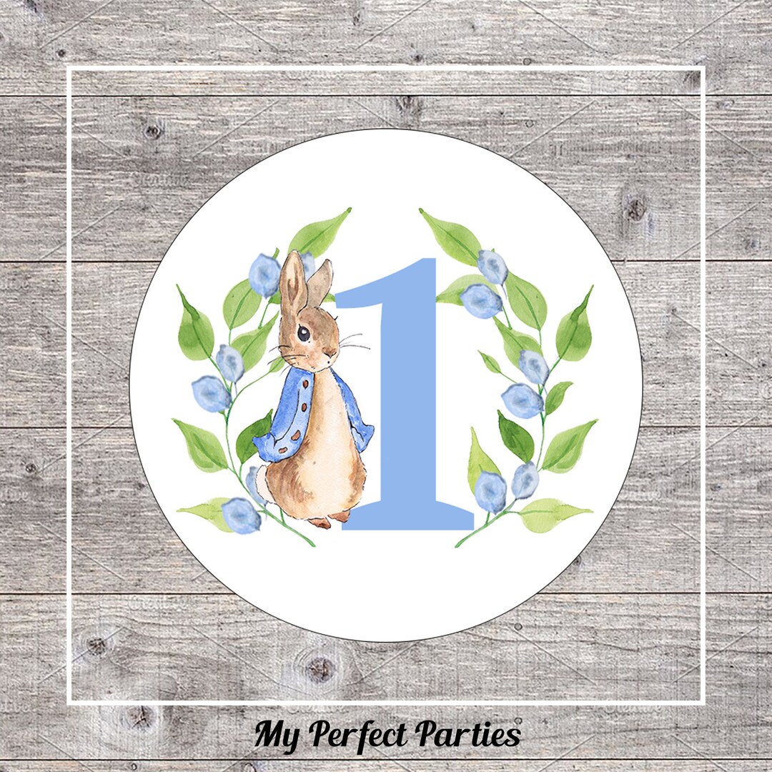Personalised Peter Rabbit 1st Birthday Party Stickers Thank - Etsy UK