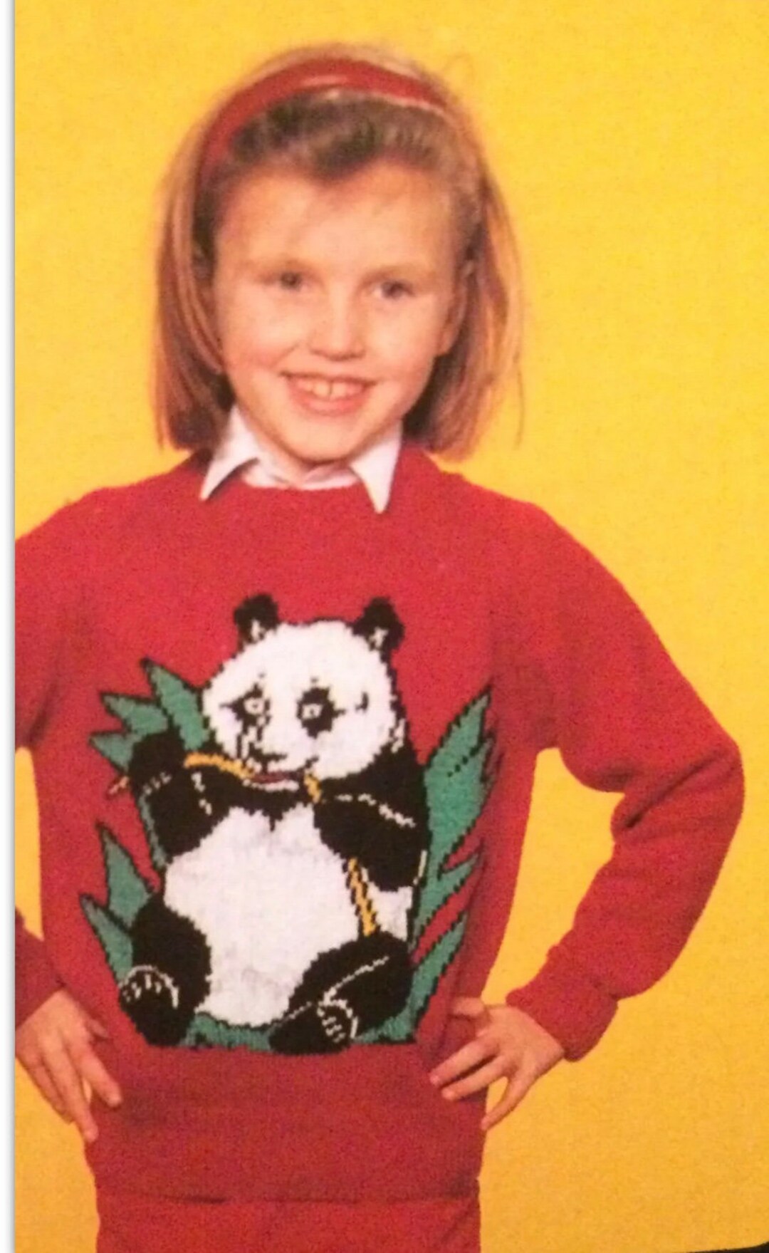 Panda Sweater Knitting Pattern (adult and Childrens Sizes) - Etsy