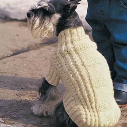 Dogosaurus Rex Dog Coat Knitting Pattern in 5 Sizes - Etsy