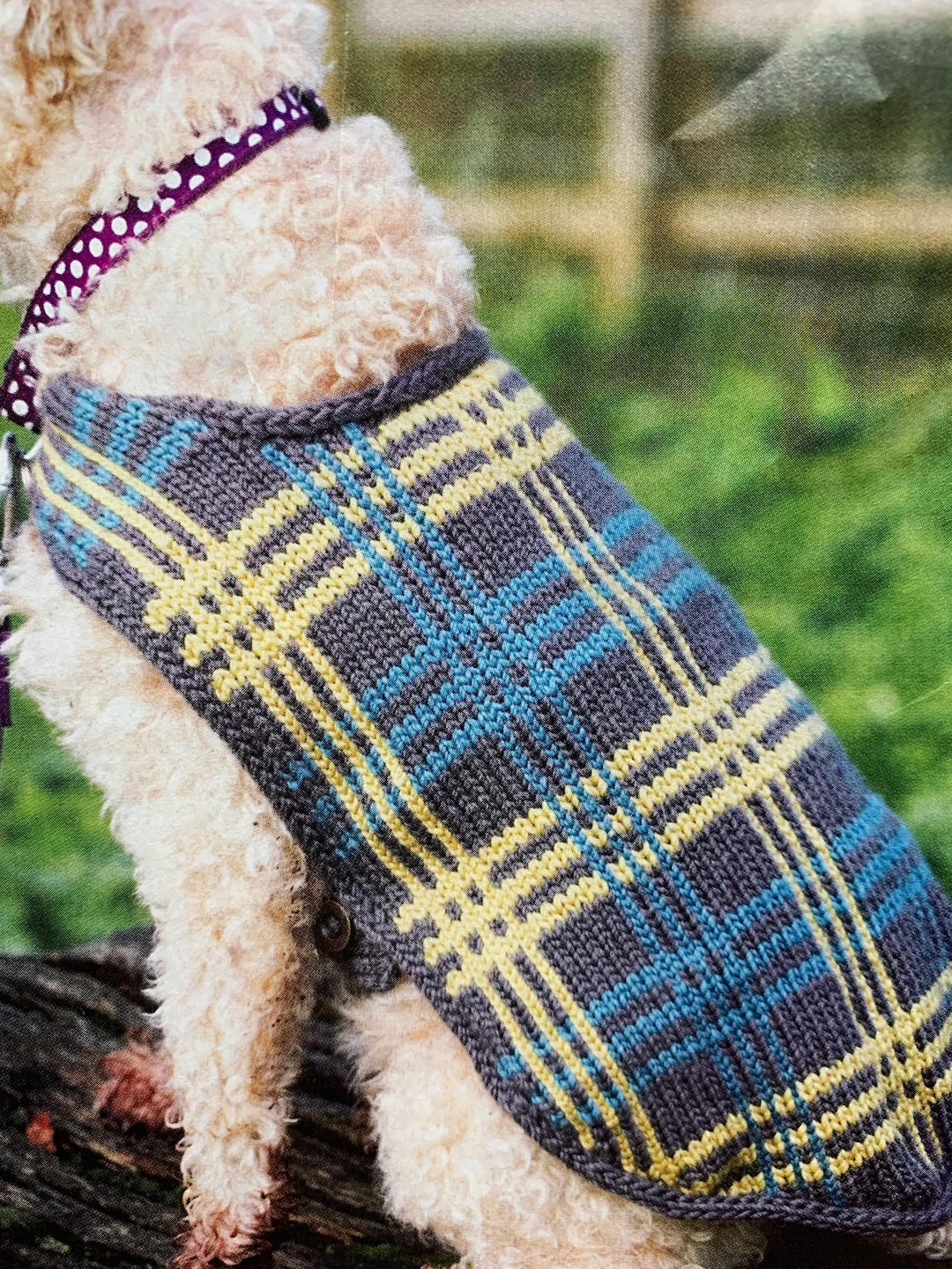 Dog Coat Knitting Pattern - Etsy