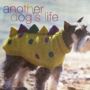 Dogosaurus Rex Dog Coat Knitting Pattern in 5 Sizes - Etsy