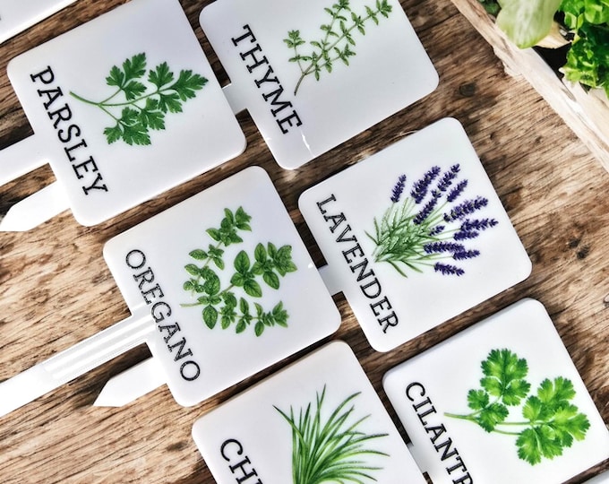 Seed Markers Plant Labels Herb Markers. Garden Decor. Allotment ...