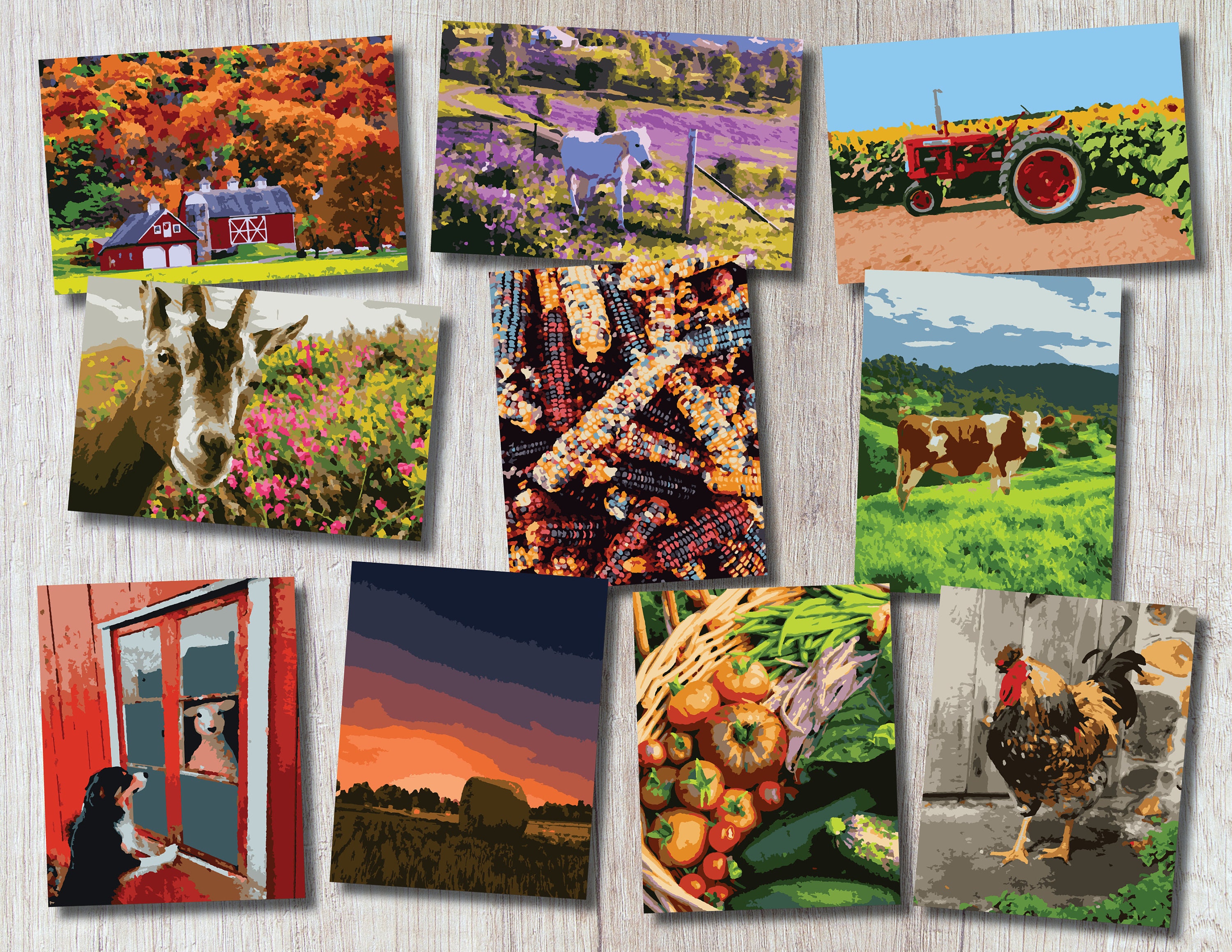 Farm Color by Number for Adults - 10 Printable Designs - Etsy
