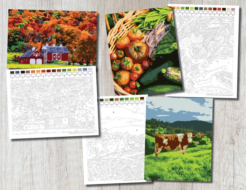 Farm Color by Number for Adults - 10 Printable Designs - Etsy