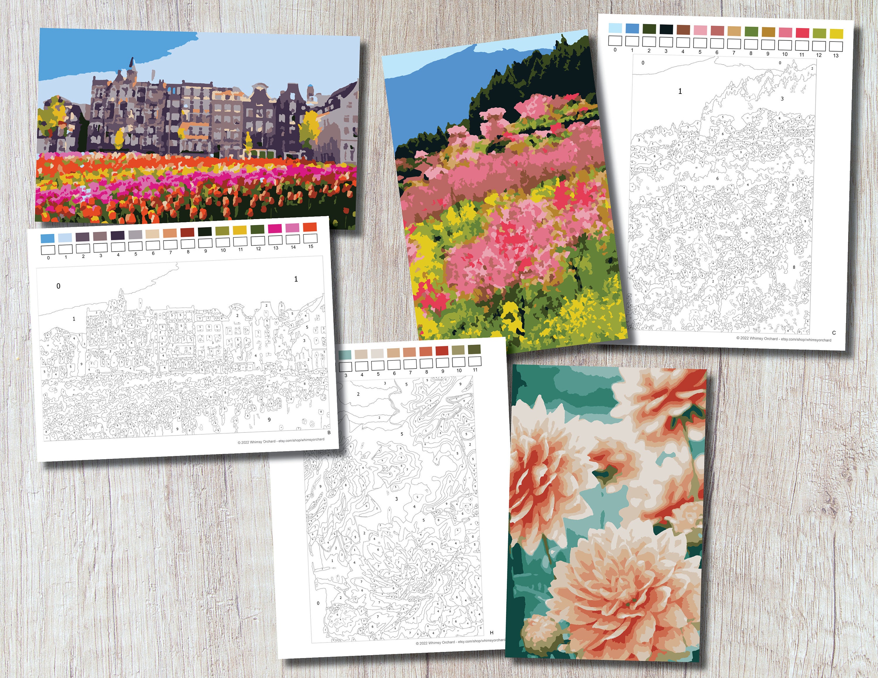 Spring Color by Number for Adults 10 Printable Designs - Etsy