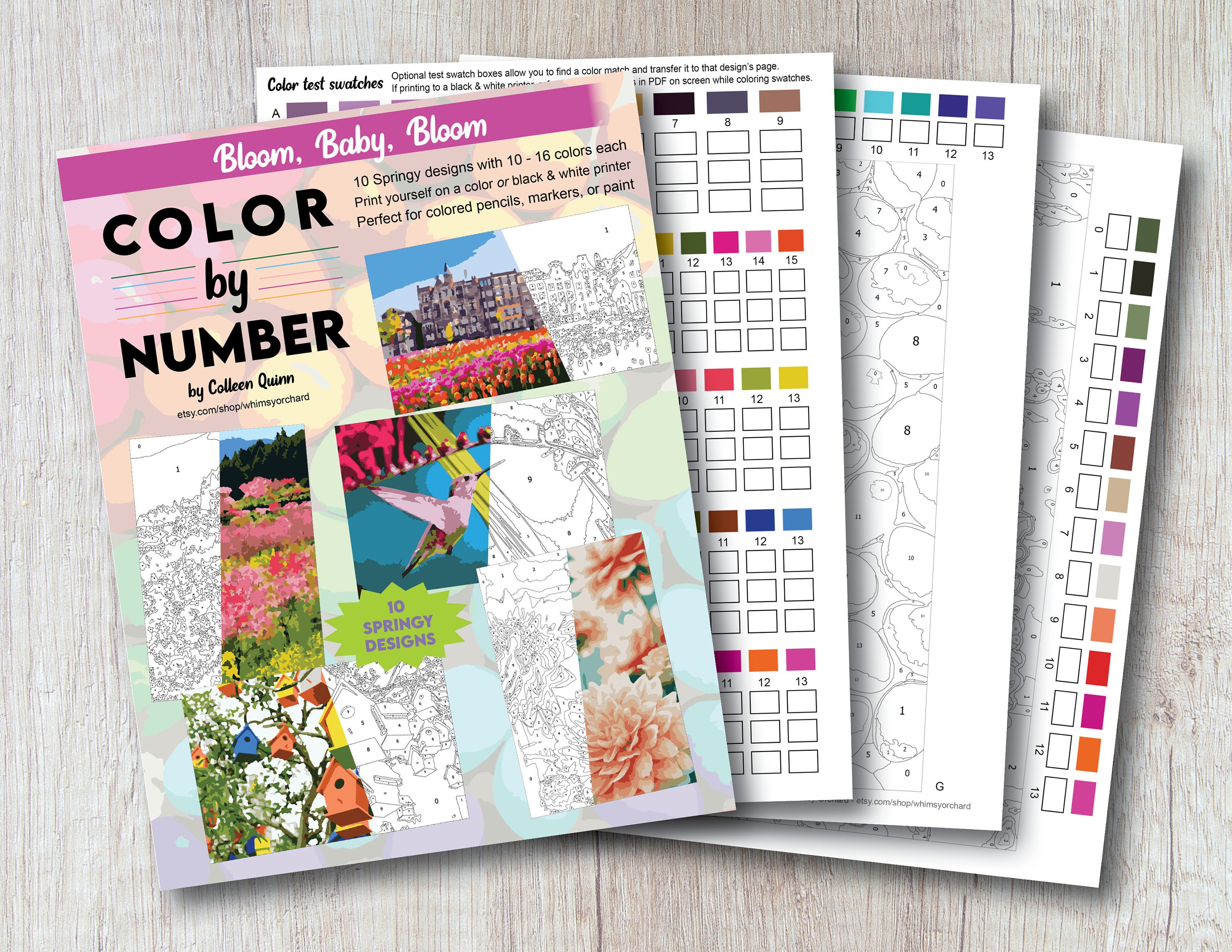 Spring Color by Number for Adults 10 Printable Designs - Etsy