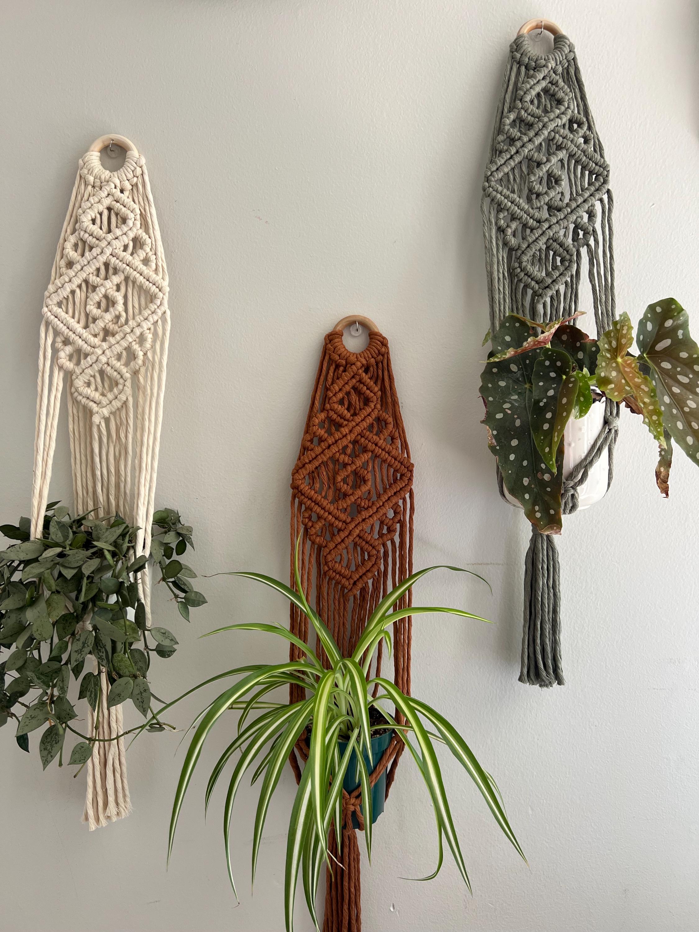 No. 2// Made to Order / Ornate Macrame Wall Hanging Plant Hanger / Your ...
