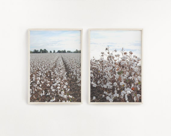 Farm Decor Cotton Wall Decor Cotton Print Set of 2 | Etsy