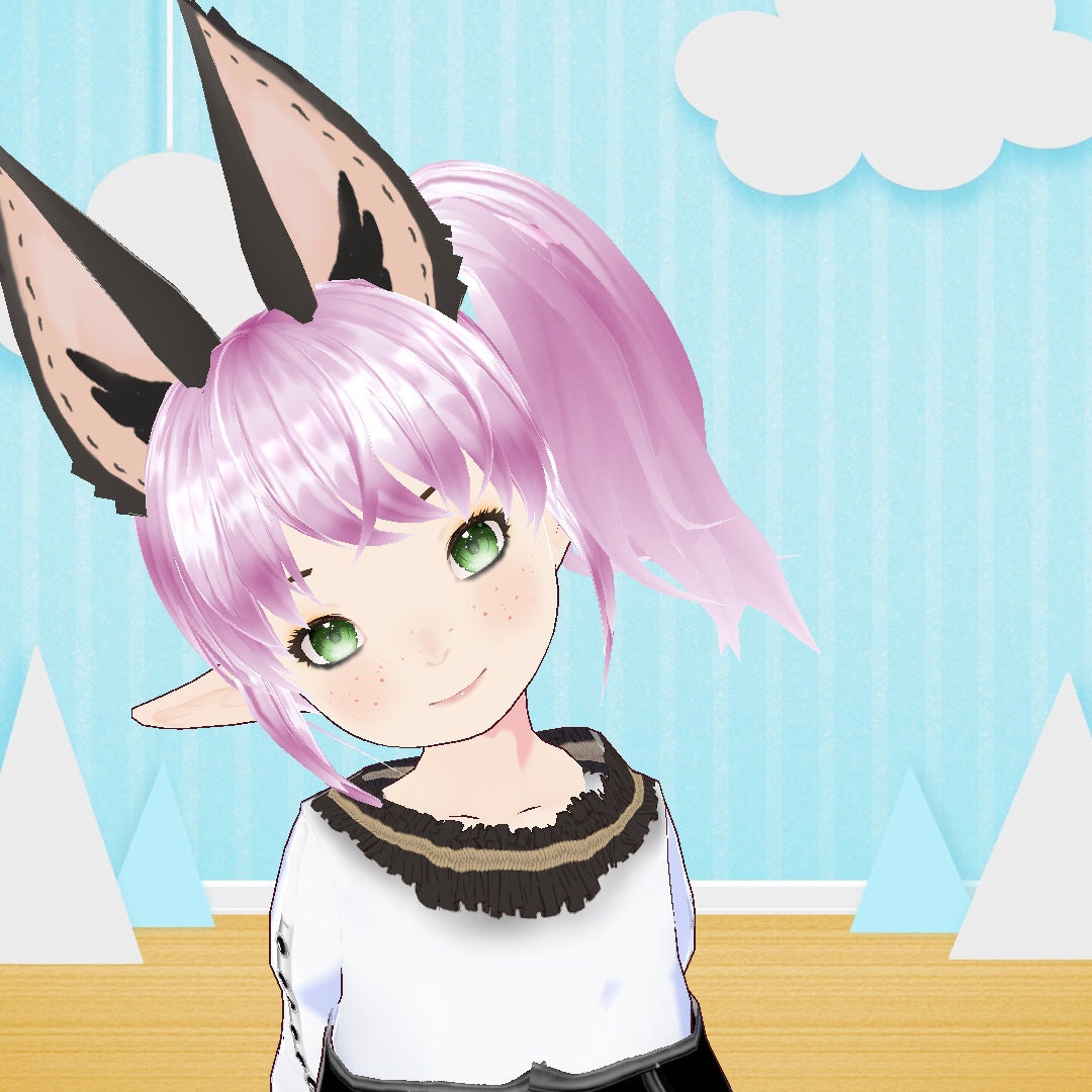 Custom 3D Vtuber Avatar Commissions - Etsy