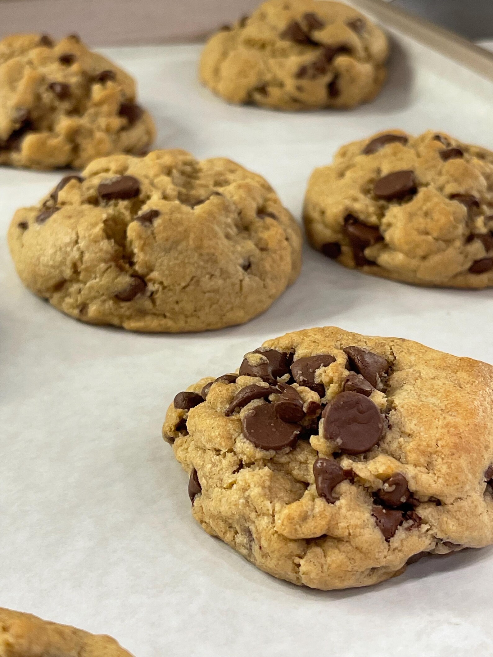 Chocolate Chip Cookies - Etsy
