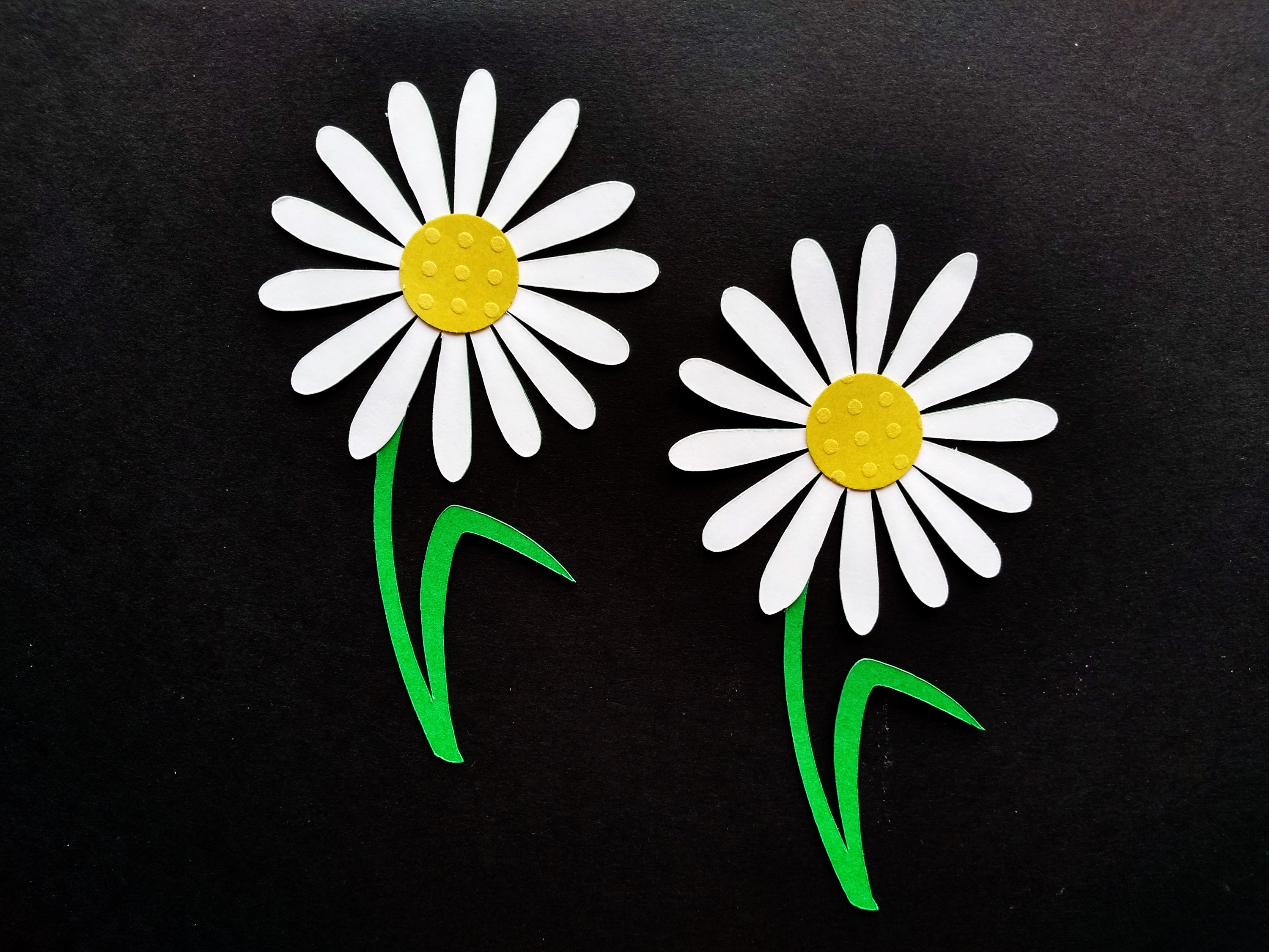 Daisy Die Cut Daisy Flower Paper Daisy Pkg of 6 | Etsy