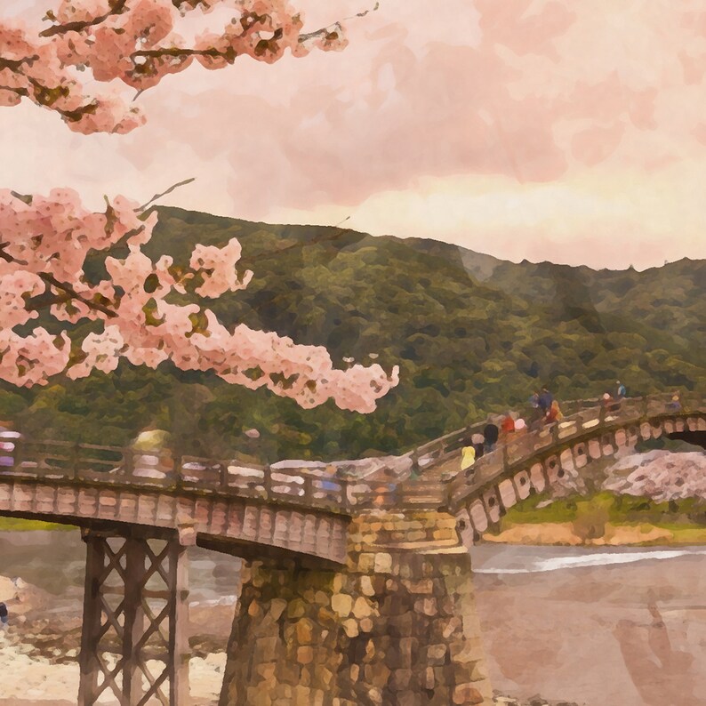 Kintai Bridge With Sakura Cherry Blossom Tree, Japanese Nature ...