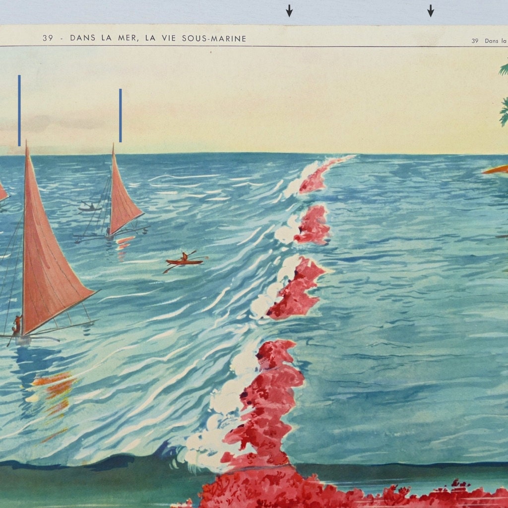 Vintage Poster Dans La Mer La Vie Sous-marine Le Bocage - Etsy UK