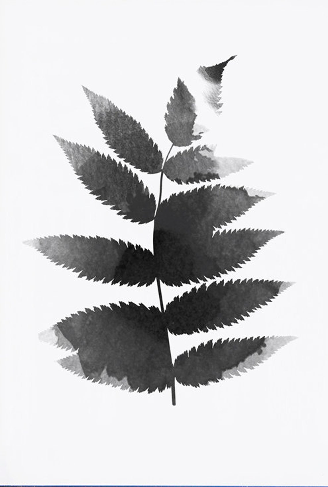 Black and White Leaf Art Print Botanical Wall Art Watercolor - Etsy