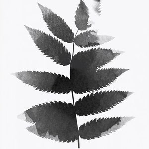 Black and White Leaf Art Print, Botanical Wall Art, Watercolor Leaf ...