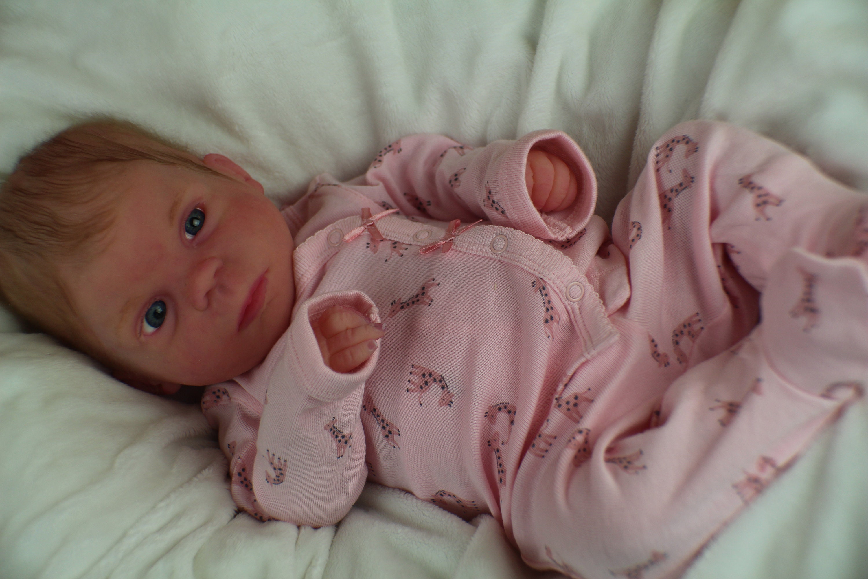 Full Body Silicone Baby Girl New Born Drink and Wet System - Etsy