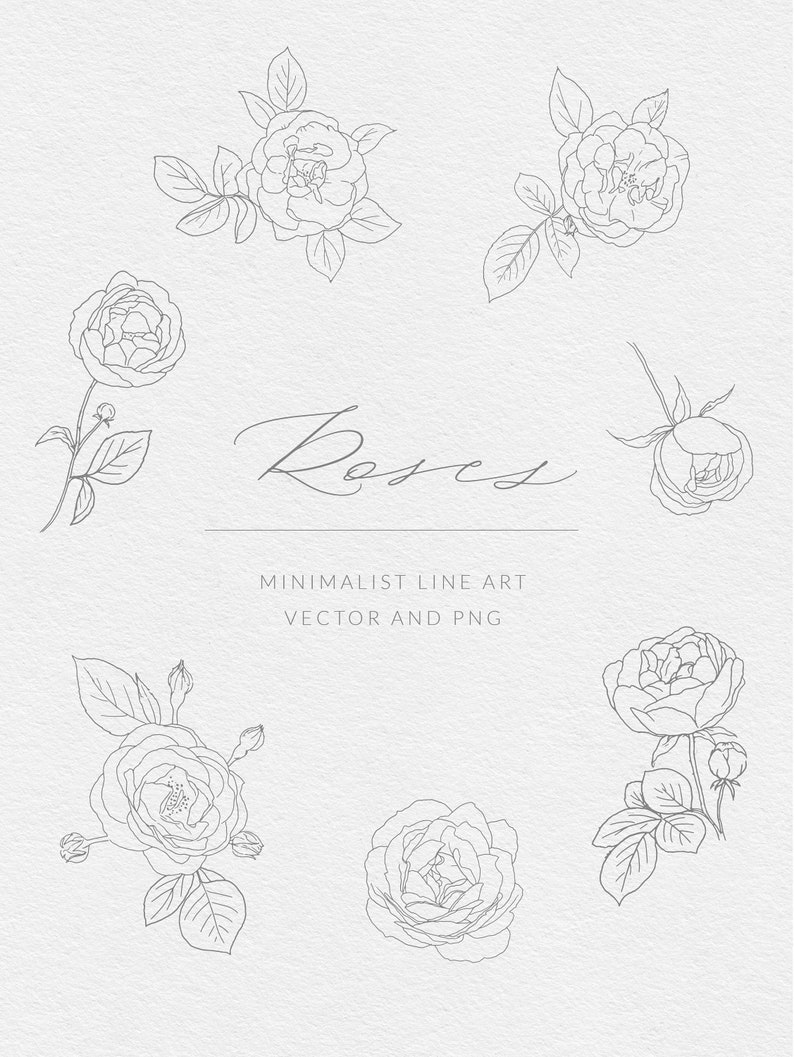 Roses Line Art Clipart Rose Sketch Rose Outline Rose - Etsy