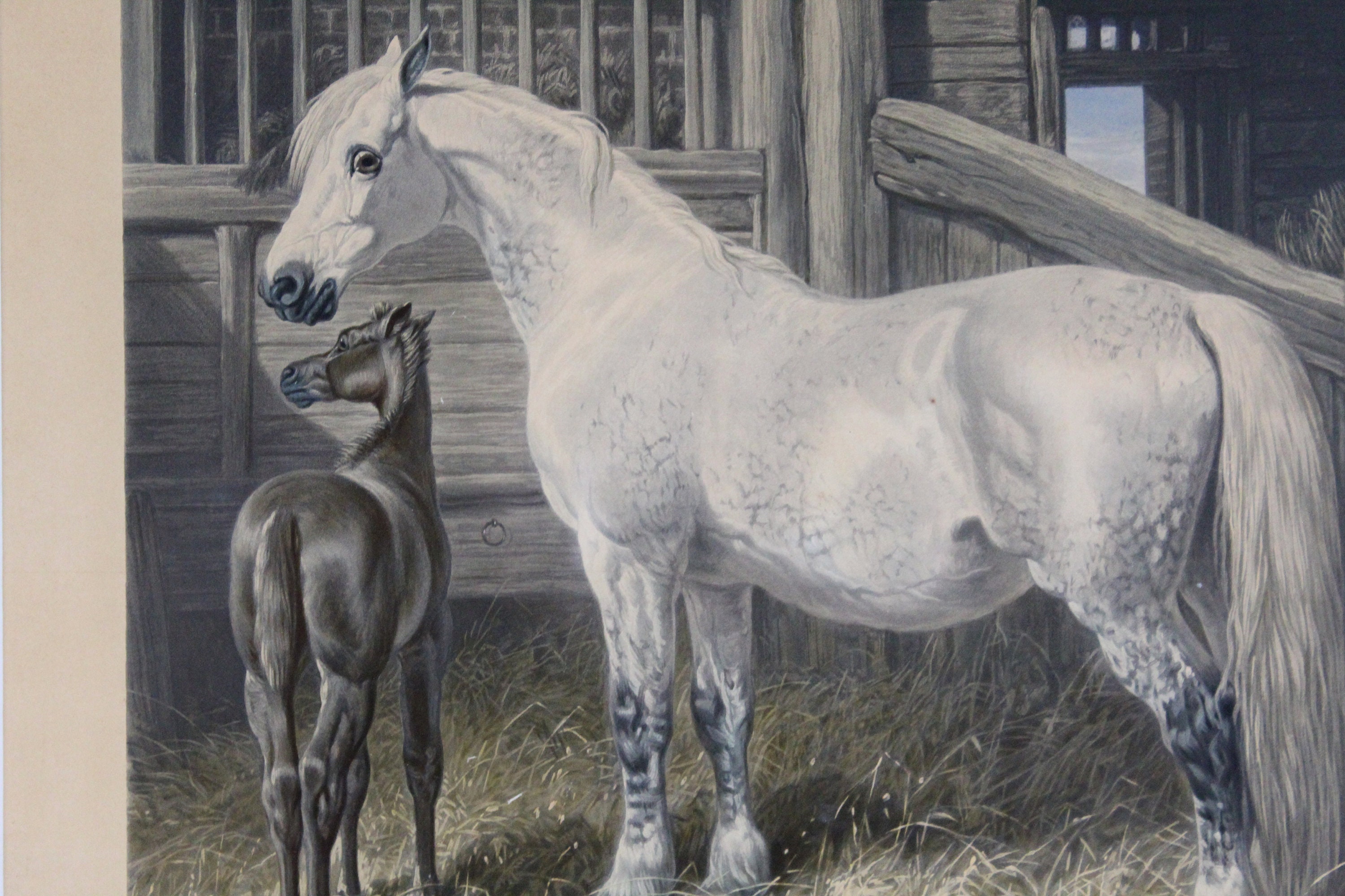 Antique Colored Etching Cart Mare and Foal - Etsy